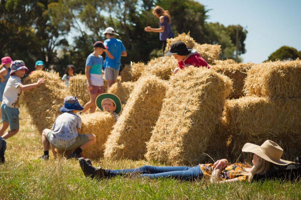 Events Archive - Mount Gnomon Farm