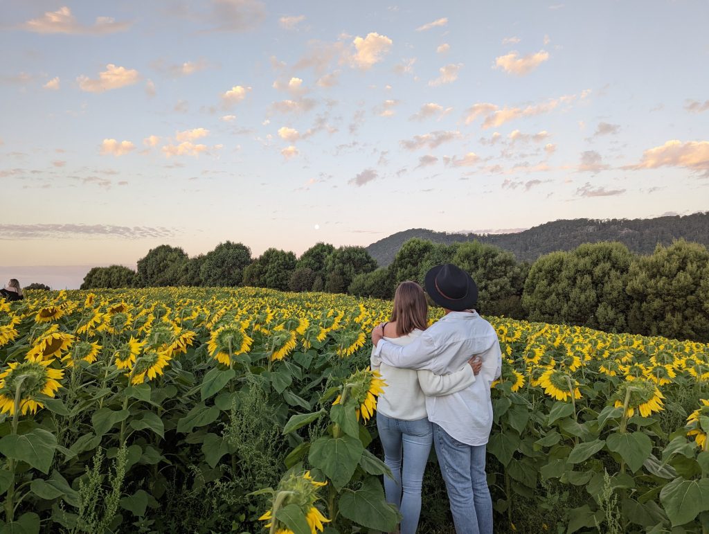 Valentines Dinner on The Farm - Mount Gnomon Farm