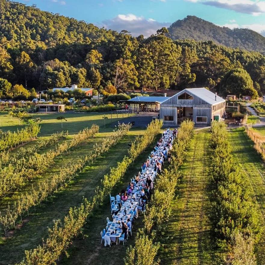 Autumn long table lunch (Trail Graze) - Mount Gnomon Farm