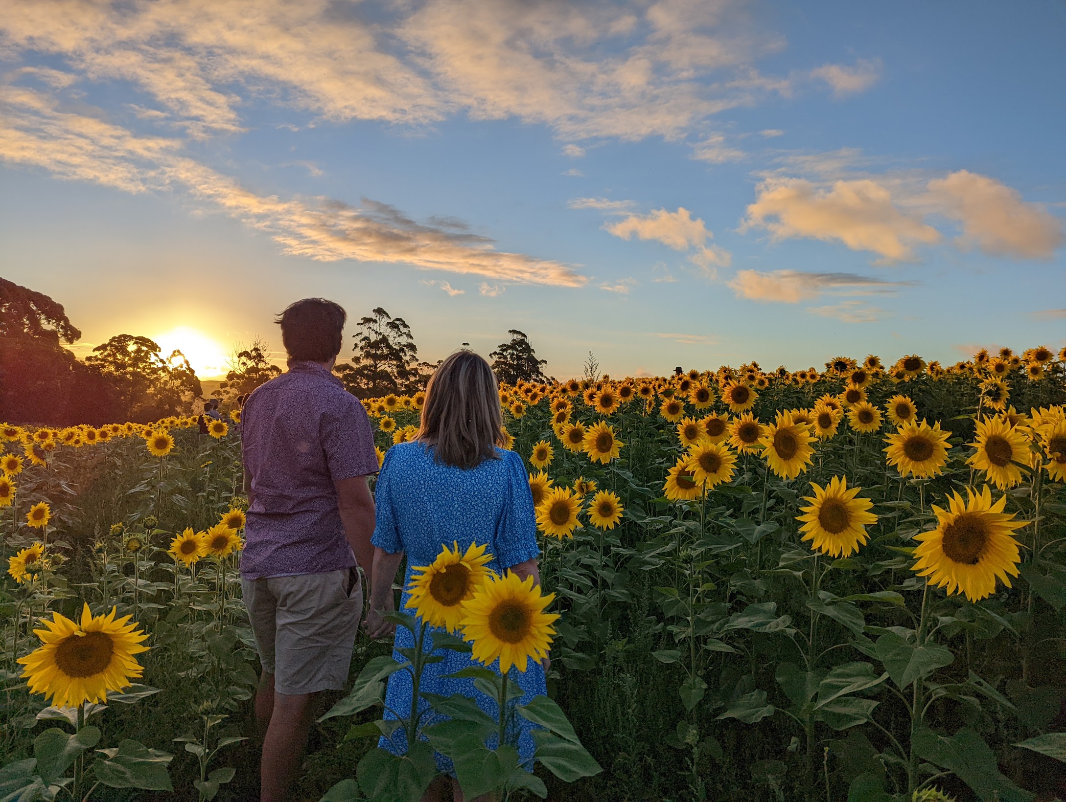 Valentines Day Dinner On The Farm - Mount Gnomon Farm